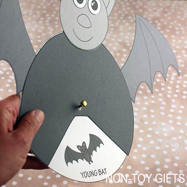 Bat Life Cycle Craft and Activity – Non-Toy Gifts