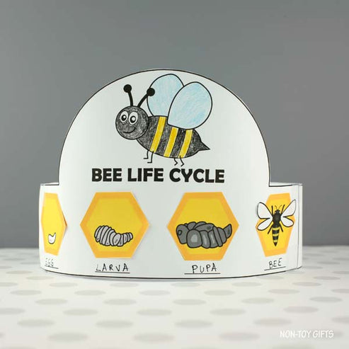 Bee Life Cycle Paper Hat – Non-Toy Gifts
