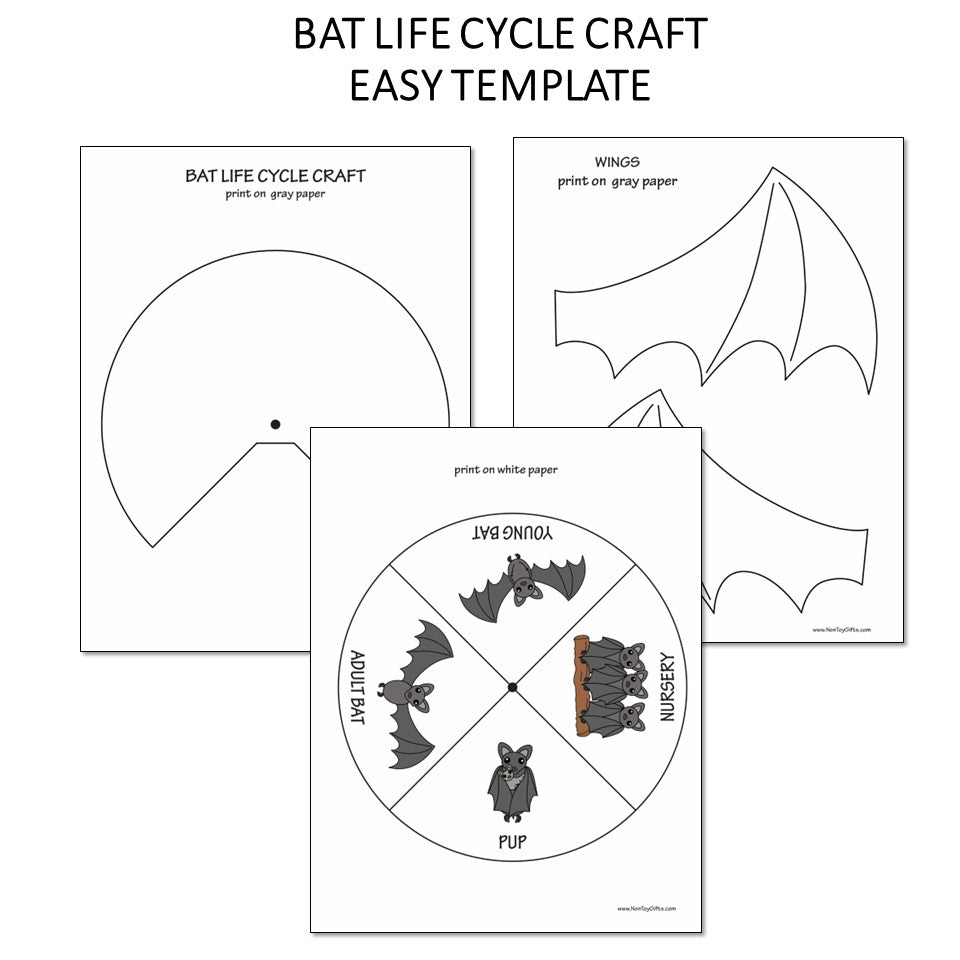 Bat Life Cycle Craft and Activity – Non-Toy Gifts
