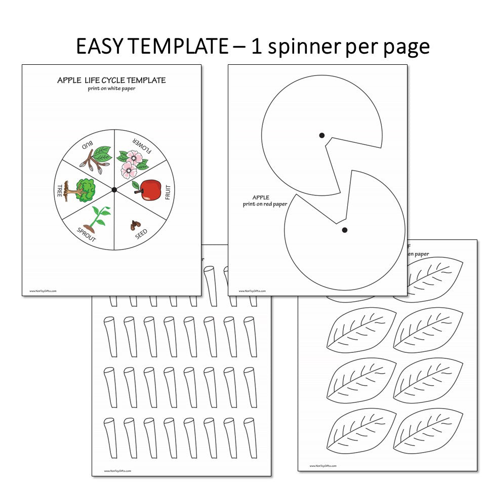 Apple Life Cycle Craft – Non-Toy Gifts