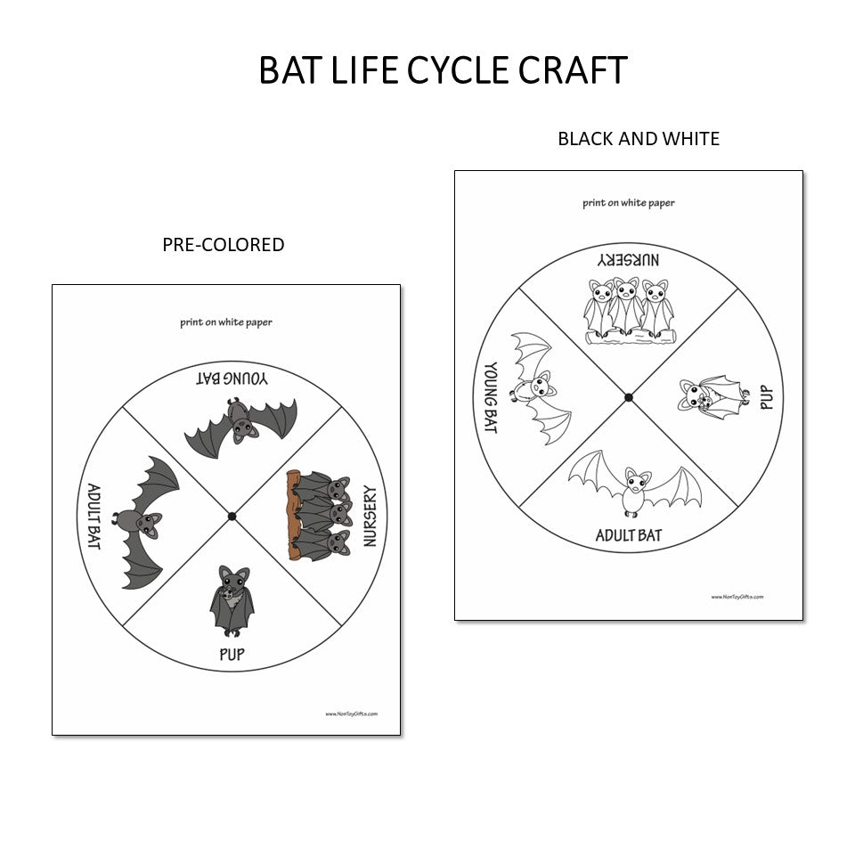 Bat Life Cycle Craft and Activity – Non-Toy Gifts