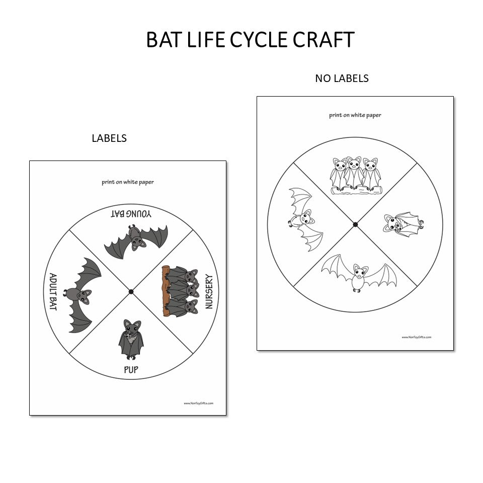 Bat Life Cycle Craft and Activity – Non-Toy Gifts