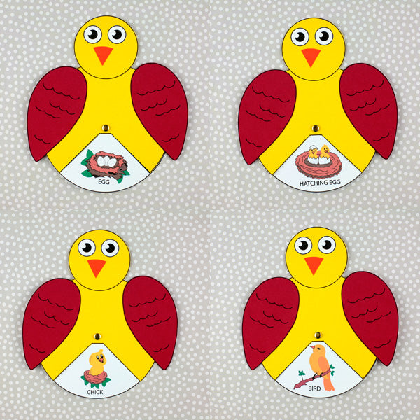 Spring Life Cycle 4-Craft Bundle: Bee, Butterfly, Frog and Bird Spinne ...