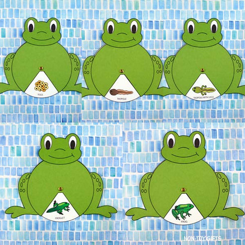 Spring Life Cycle 4-Craft Bundle: Bee, Butterfly, Frog and Bird Spinne ...