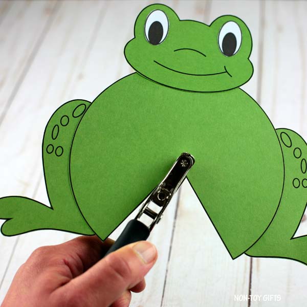 Frog Life Cycle Craft and Activity - Spinner Wheel – Non-Toy Gifts