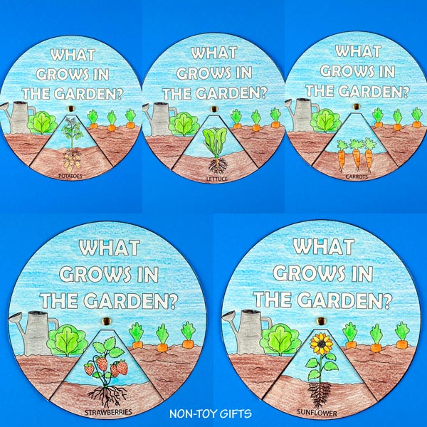 Garden Craft: What Grows in the Garden? Coloring Spinner Craft – Non ...