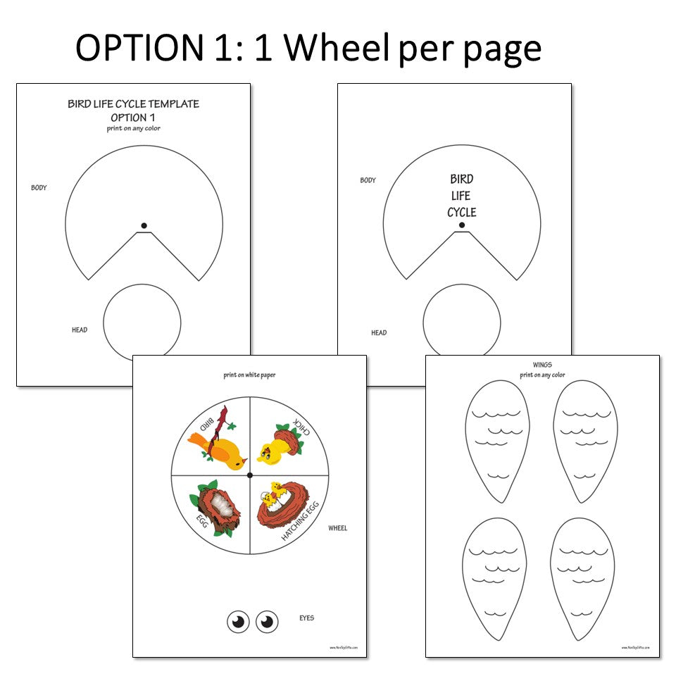 Bird Life Cycle Interactive Craft and Activity – Non-Toy Gifts