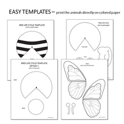 Spring Life Cycle 4-Craft Bundle: Bee, Butterfly, Frog and Bird Spinne ...