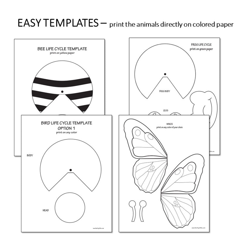 Spring Life Cycle 4-Craft Bundle: Bee, Butterfly, Frog and Bird Spinne ...